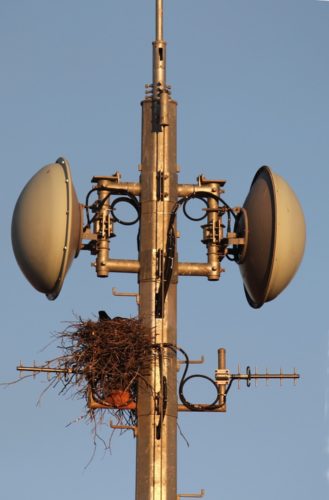 Communication Poles | Galvanised Steel | G&S Industries