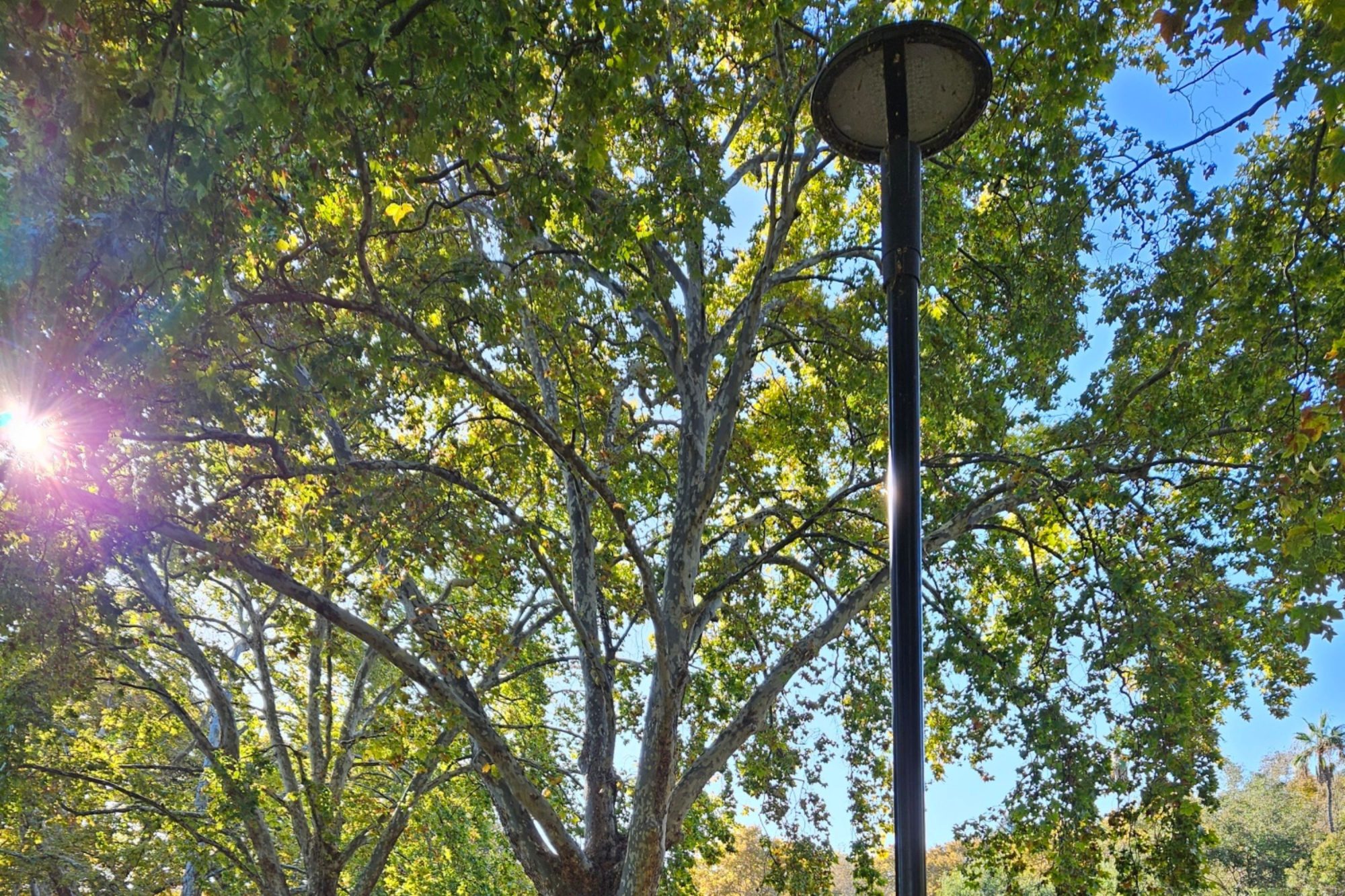 Hyde Park Lighting Project | Decorative Poles | G&S Industries